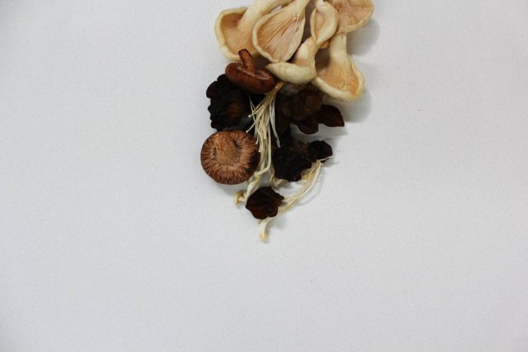 White Truffle | Stone Ambassador | Stone Interiors