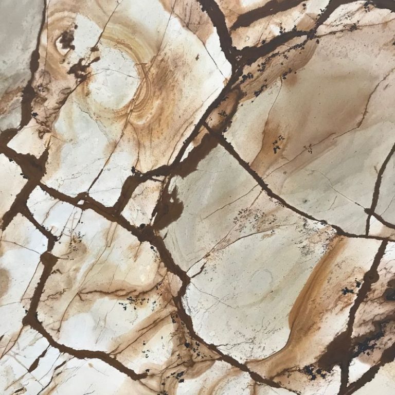 Roma Imperiale Quartzite | Stone Interiors